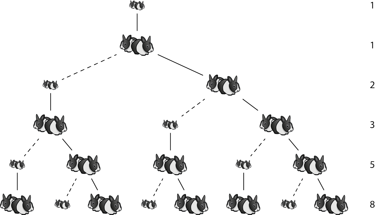 Things You Didn't Know About The Fibonacci Sequence | Vincit